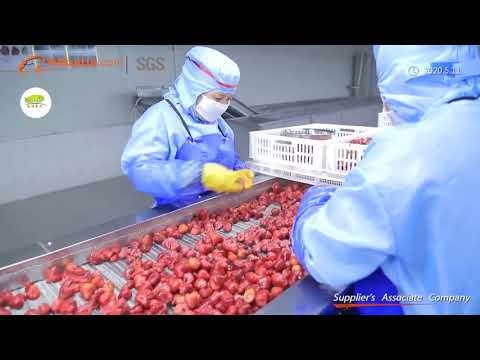 IQF frozen fruits prodution video