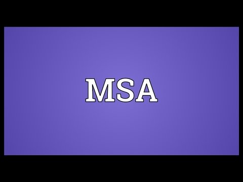 MSA Meaning