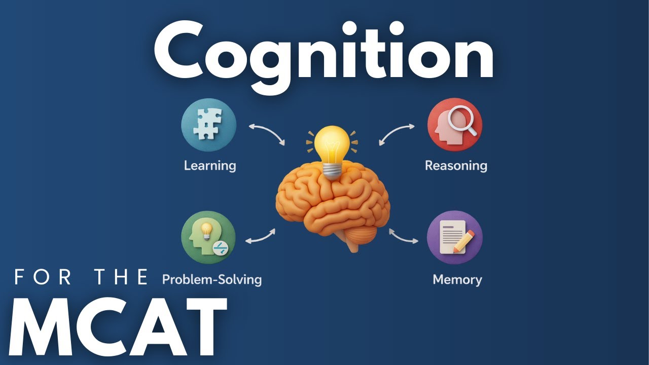 MCAT Cognition Explained in 6 Minutes