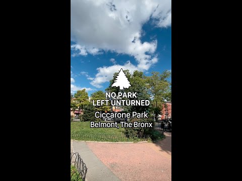 Exploring Ciccarone Park – Mieum Media
