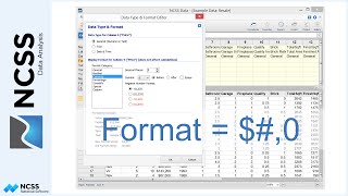 NCSS Statistical Software Video | Value Labels | NCSS