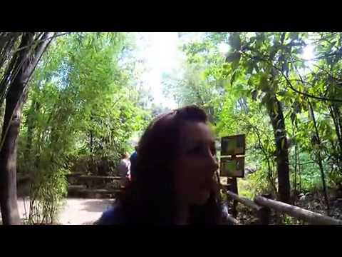 Woman Cant Pronounce Orangutan While At The Zoo