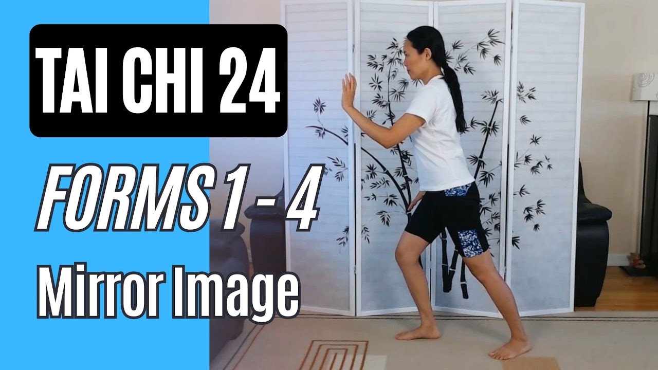 Tai Chi 24, Forms 1-4 Up to Brush Knee in Mirror Image