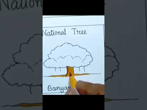 Banyan tree drawing