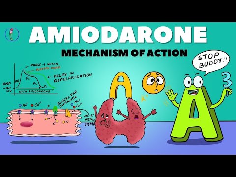 Amiodarone Hydrochloride Injection - Amiodarone HCL Injection Latest ...