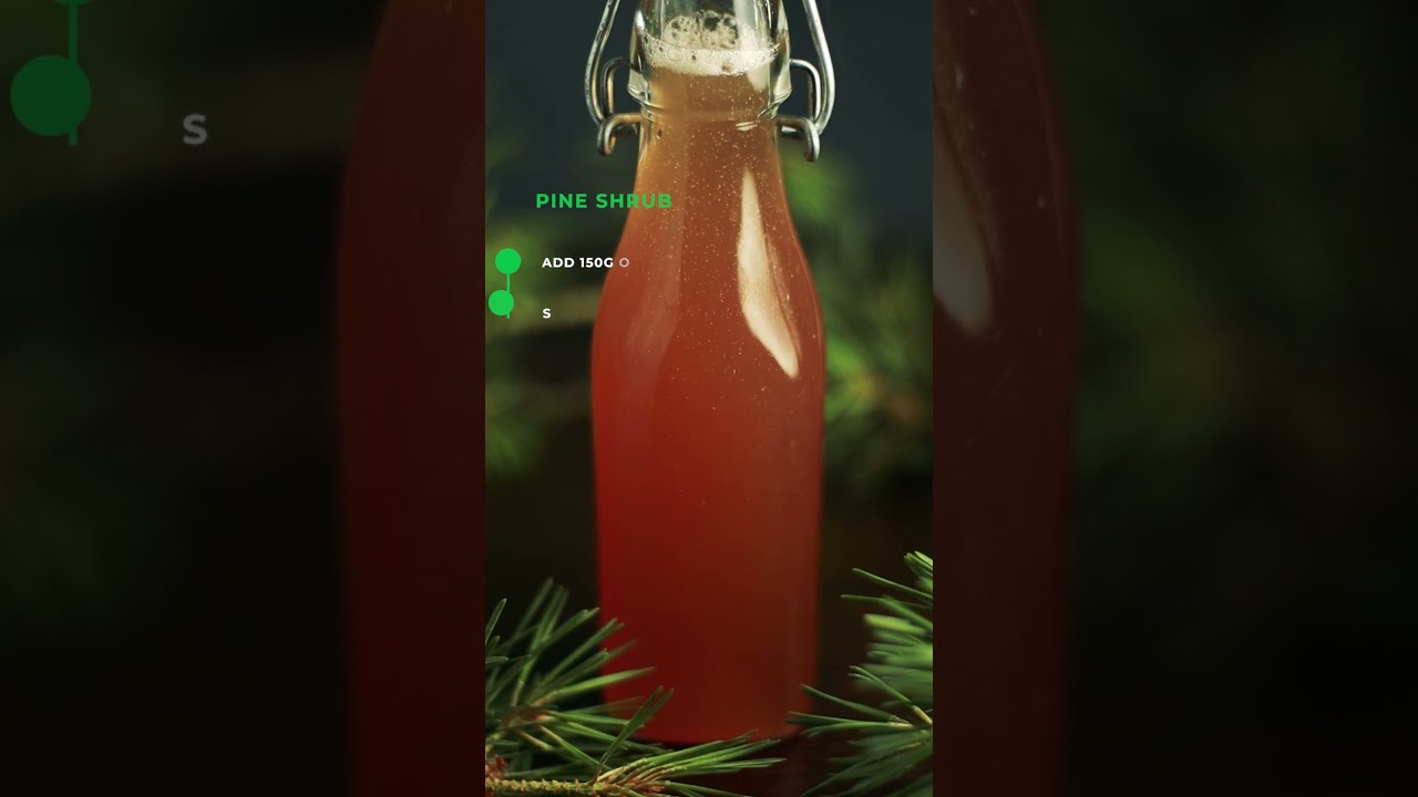Pine Sazerac Cocktail - Foraging Pine Shoots for Your Drink