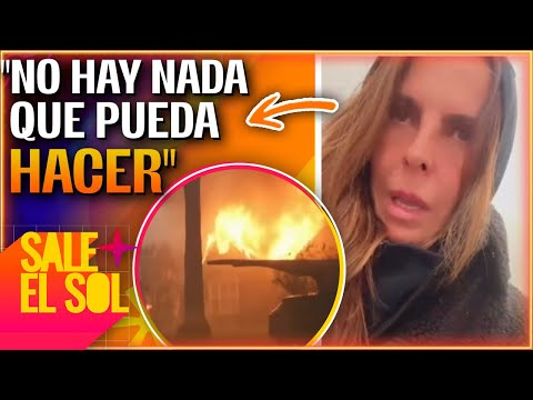 Dalyce Curry, actriz de ‘The Blue Brothers’ muere en incendios de Los ...