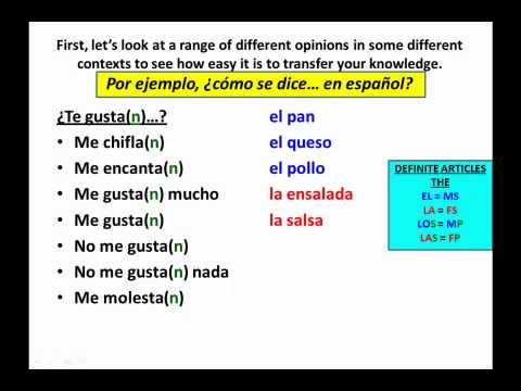 Spanish opinions - present tense (beginner) (Professor Gold Star)
