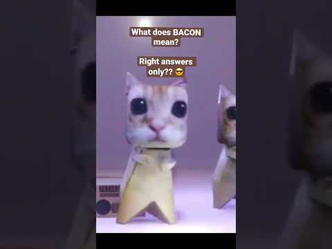 What does BACON mean? (Right answers only?)