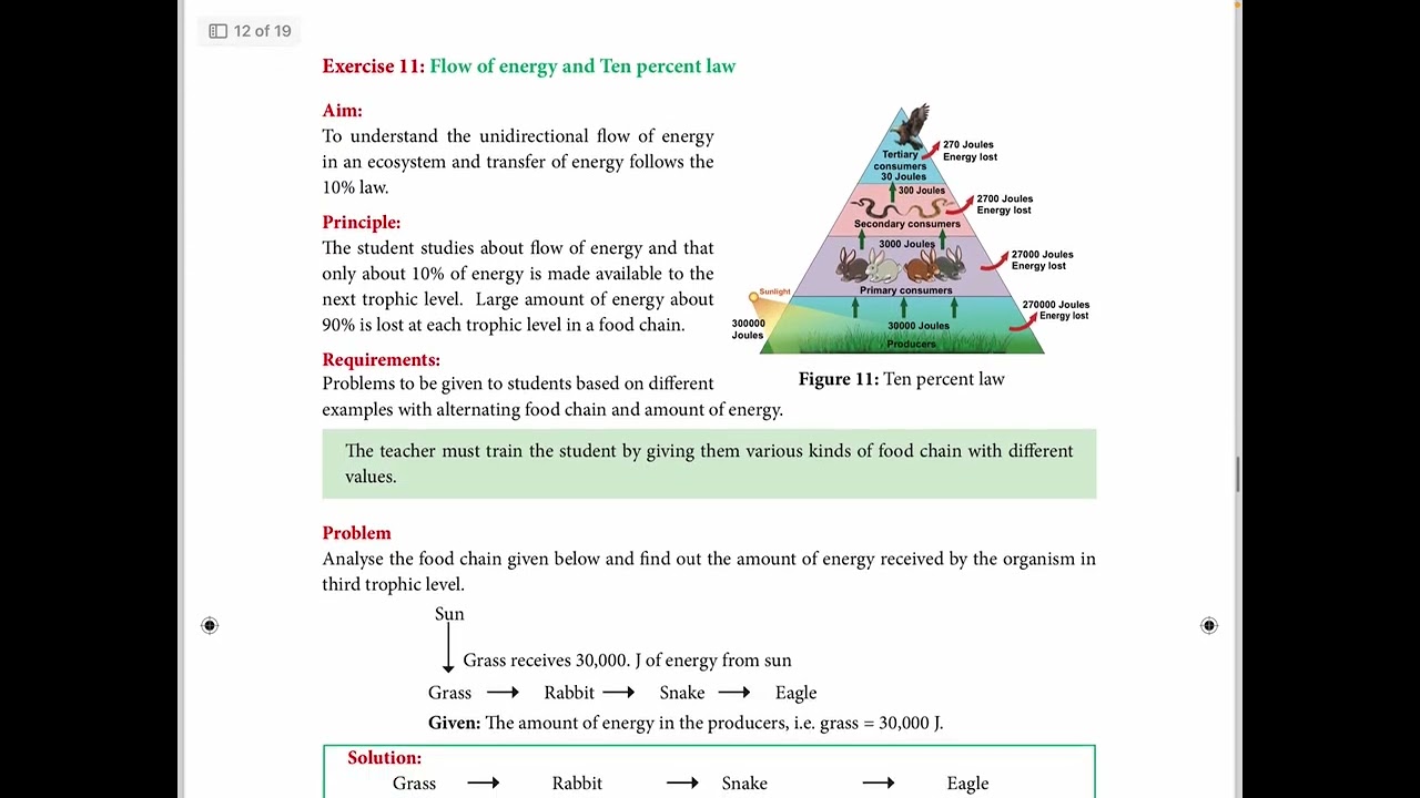 12 state board bio botany practical exam answer #biology #practical #tamilnadu