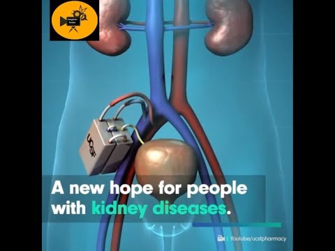 Bionic artificial kidney – Rocky Mountaineer Train, Canada – Sunil ...