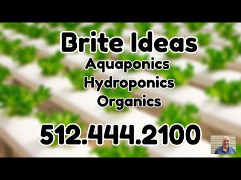 Urban Farming Hydroponic Lettuce in Austin TX