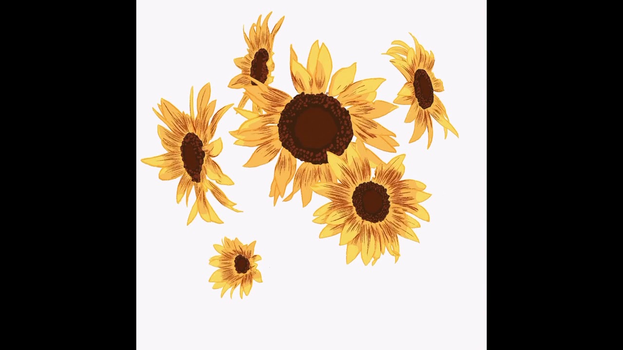 Student Vector Illustration Process