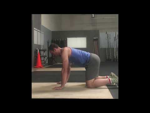 Quadruped Chin Tucks – Thomas Scarr