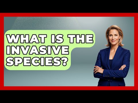 What Is The Invasive Species? - Biology For Everyone