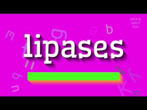 How to say "lipases"! (High Quality Voices)