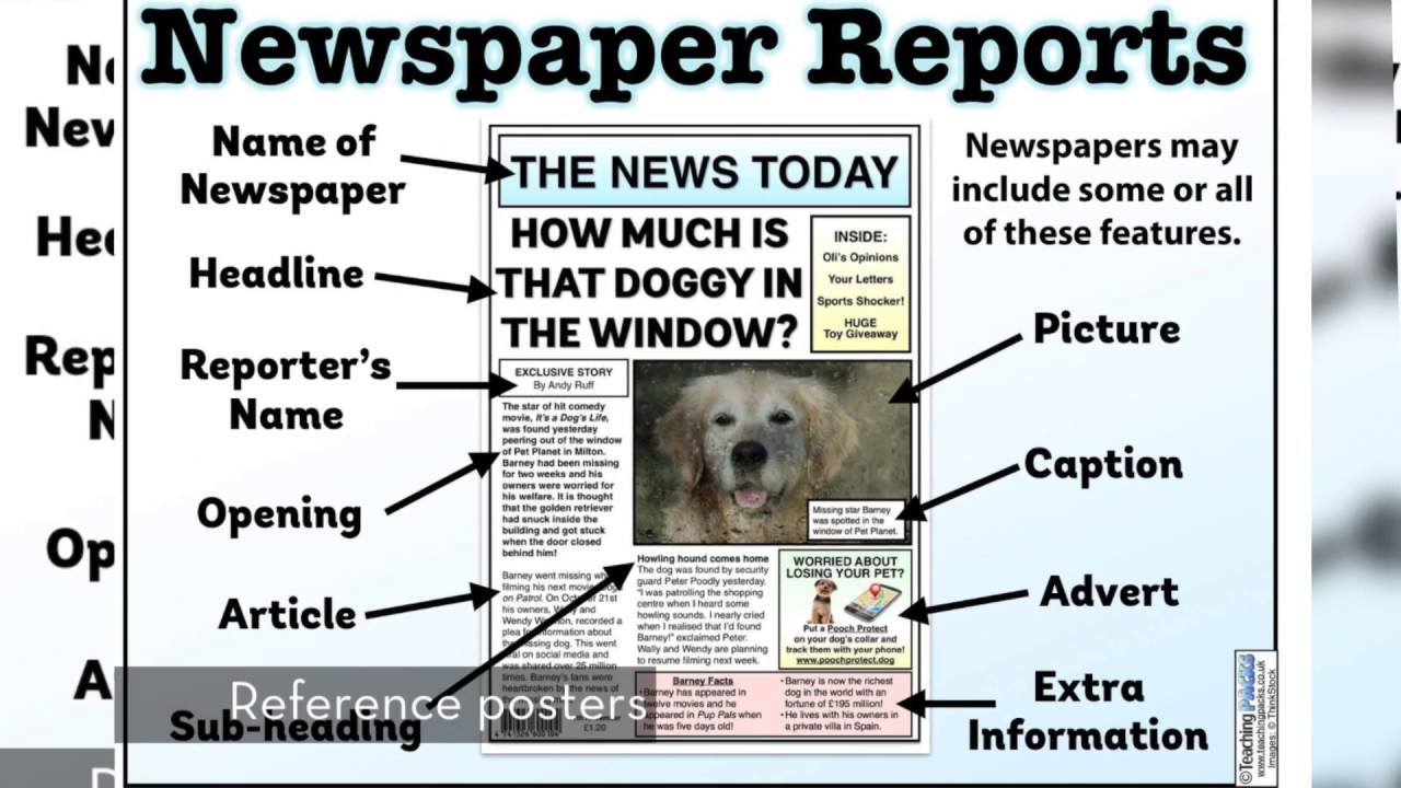 The Newspaper Reports Pack - Teaching Resources