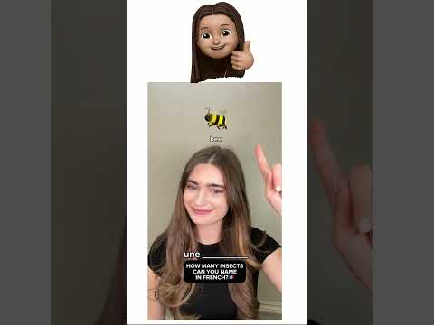 Insects In French - Learning French By Learn French With Nila #shorts French for kids