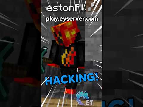 This Famous Person Played on My Minecraft Server…