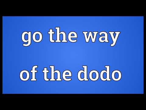 Go the way of the dodo Meaning