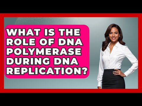 What Is The Role Of DNA Polymerase During DNA Replication? - Biology For Everyone