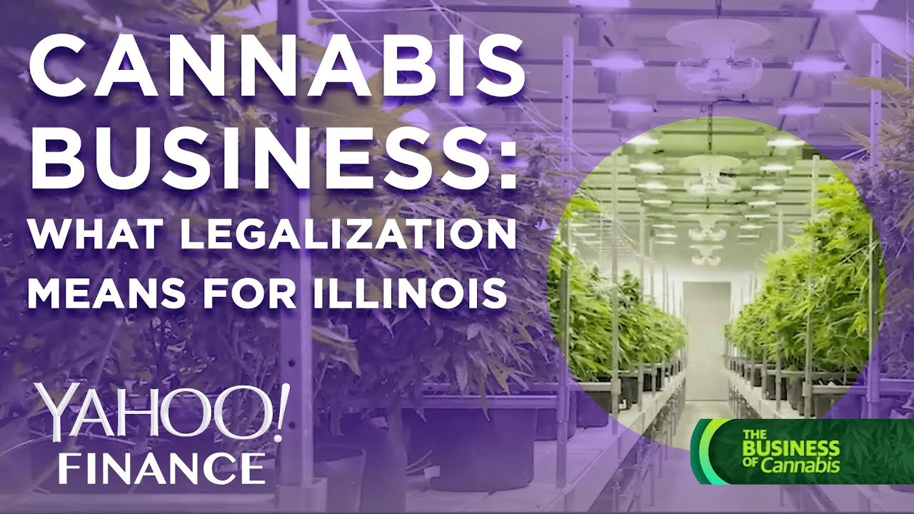 Cannabis business: What marijuana legalization means for Illinois