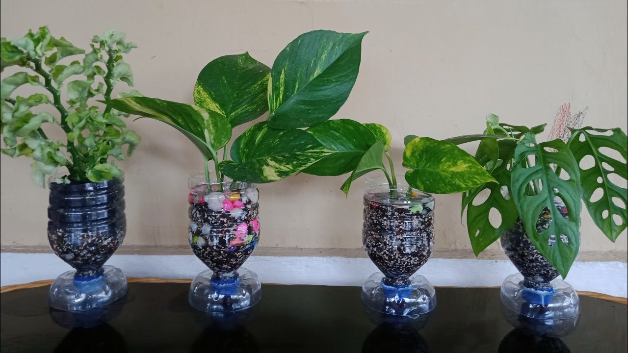 Cara Membuat Pot Bunga dari Botol Bekas!!