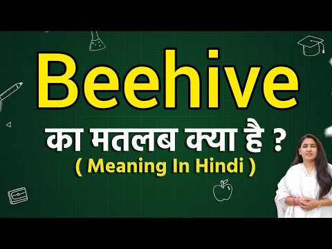 Beehive meaning in hindi | Beehive matlab kya hota hai | Word meaning