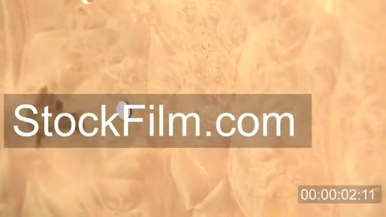 (Perfect Loop) Maple Burl Background
