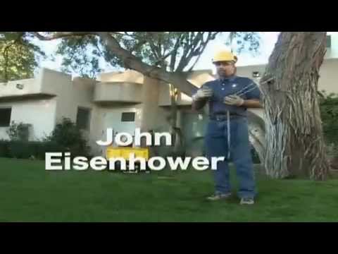 Integrity Tree Service