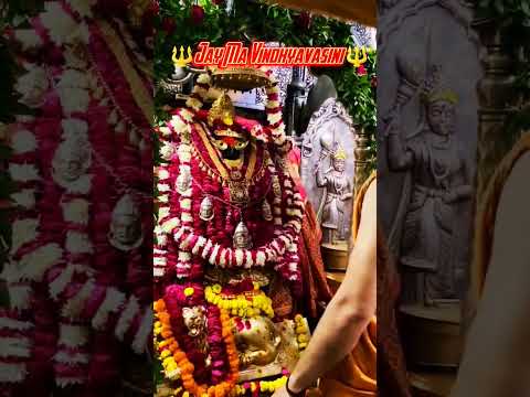 ???? जय माता दी ???? #jaymatadi #whatsappstatus #viralshort #matarani #shortvideo #shorts #navratri #maa