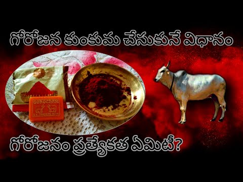 Gorojanam kumkuma Preparation in Telugu | gorochana kumkuma | Uses of Gorojanam | #gorojanam