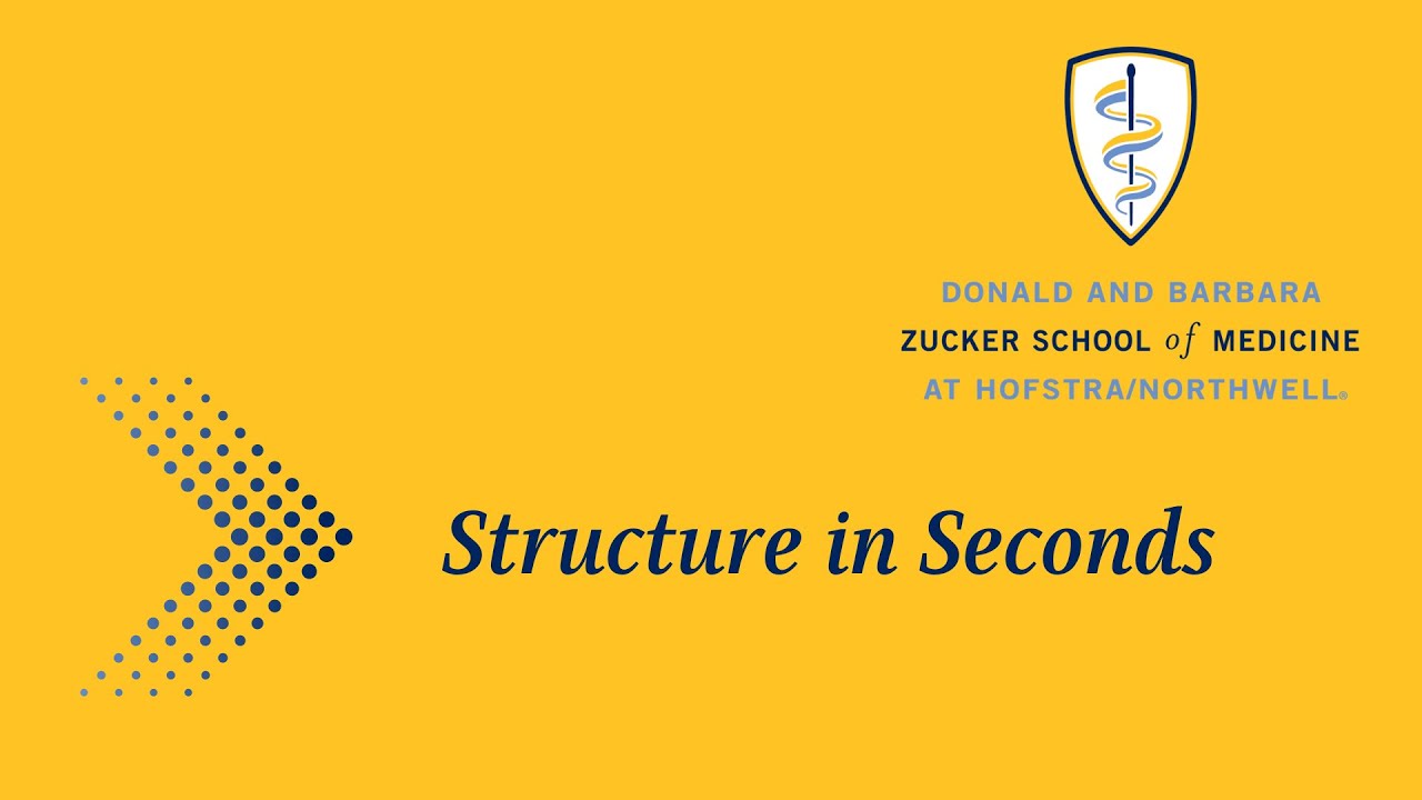 Structure in Seconds : Anatomical Pelvis