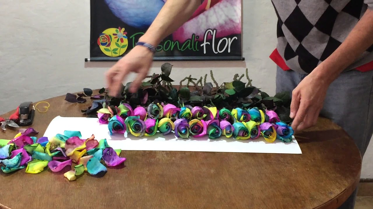 ROSAS ARCOIRIS EN CHIA Y BOGOTA, SOMOS PRODUCTORES