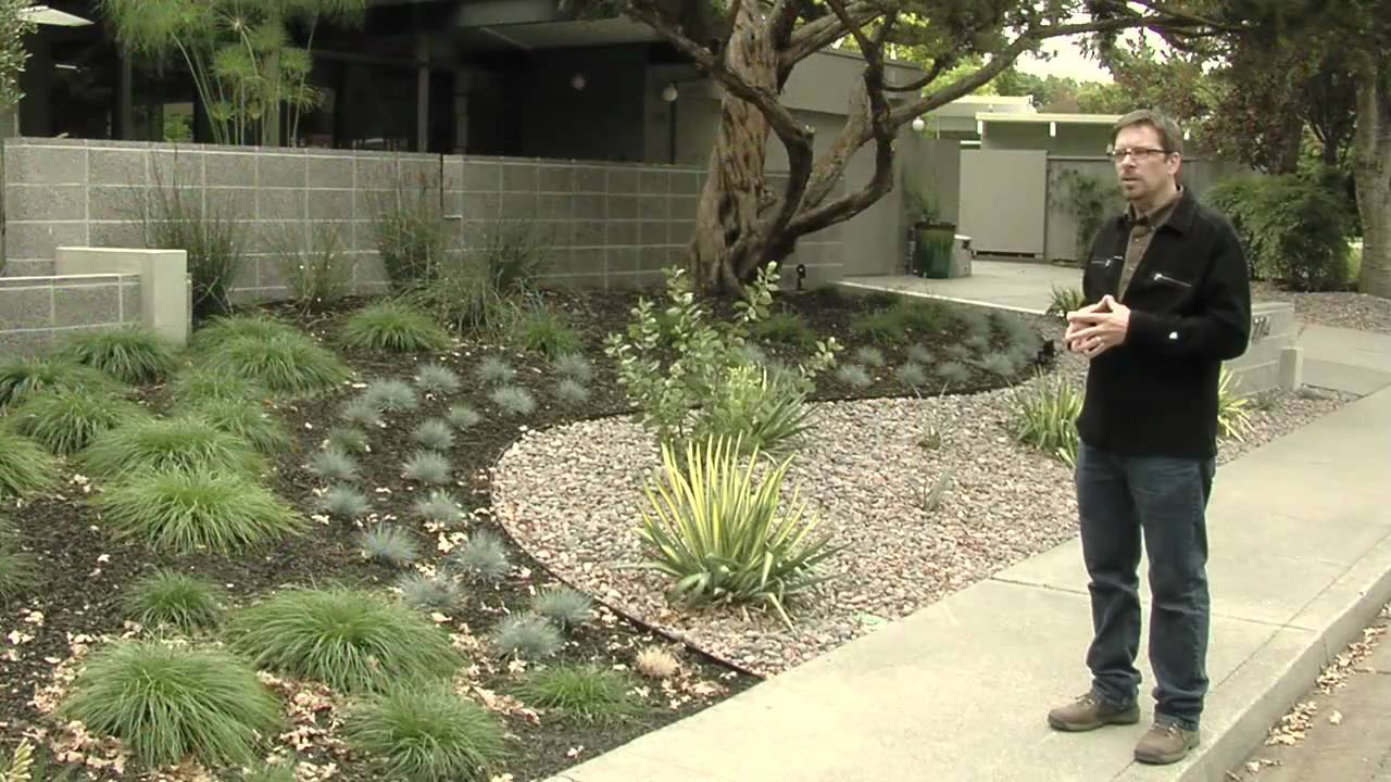 Mid-Century Modern Landscape Design