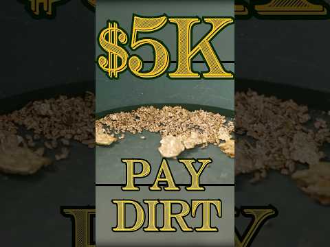How Much Gold is REALLY in $5,000 Paydirt? #shorts