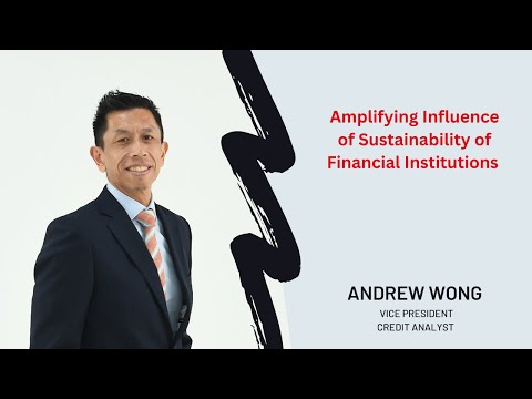 Amplifying Influence of Sustainability of Financial Institutions
