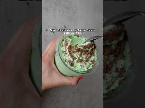 Mint Chocolate Chip Ice Cream | 250 Cals for the ENTIRE pint 🍦💚