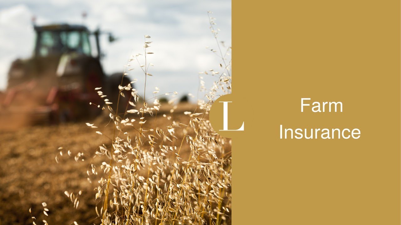 Videos, advide & guidance from Specialist Insurance Brokers | Lumley ...