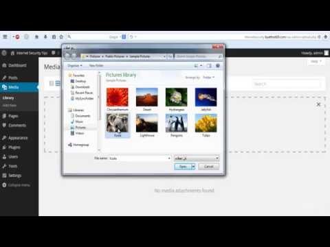 Wordpress Dashboard - Media
