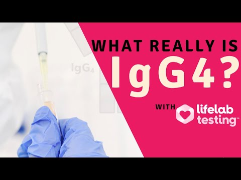 What is IgG4?