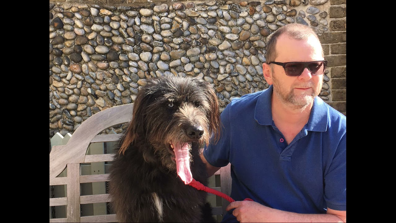 A dog’s life… | The Canine Behaviourist