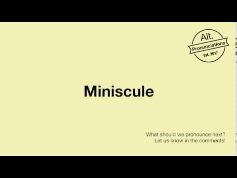 How to Pronounce Miniscule