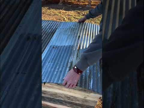 Simple Generator Cover Build #shorts #country #ranch #hardwork #countrylife #woodwork #woodworking