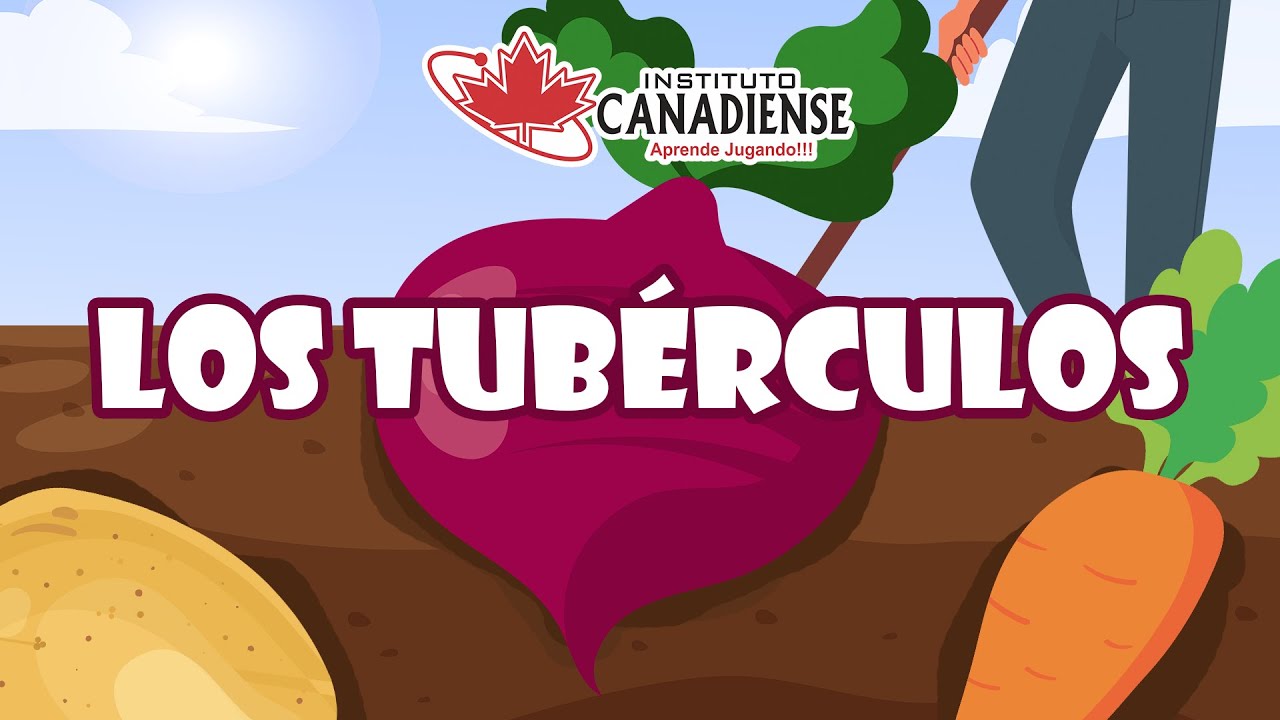 Los Tubérculos - Video Educativo Preescolar