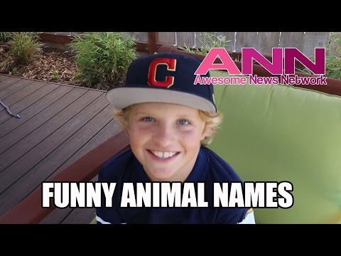 "Funny Animal Names" Awesome News Network