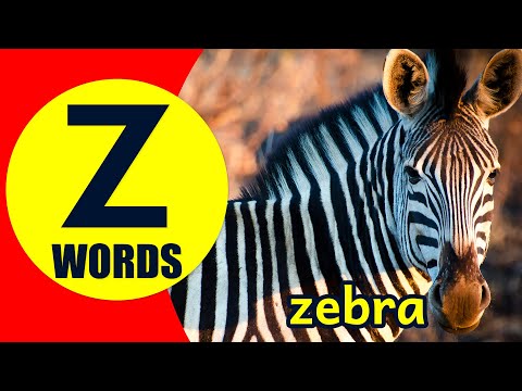 Words Starting With Z - Learn Words that Start with Z Sound