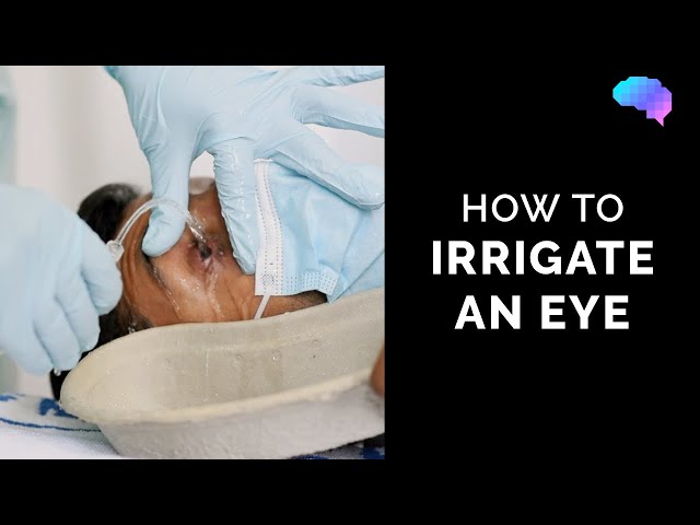 Ophthalmic Supplies - Occugel 2% Ophthalmic Solution Exporter from Nagpur