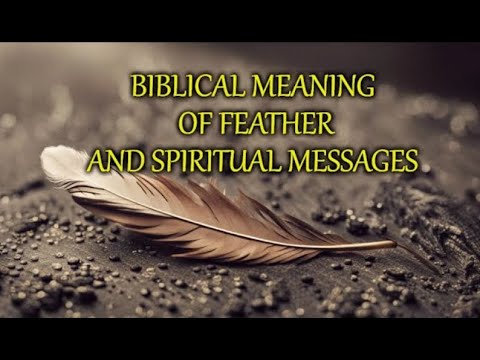 Biblical Meaning of Feather and Spiritual Messages
