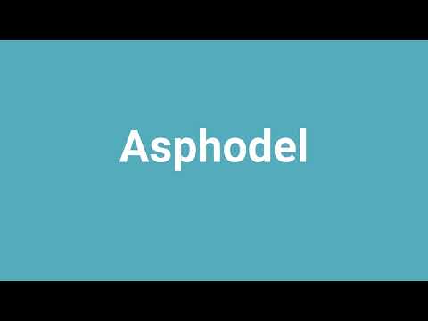 'Asphodel' Meaning and Pronunciation